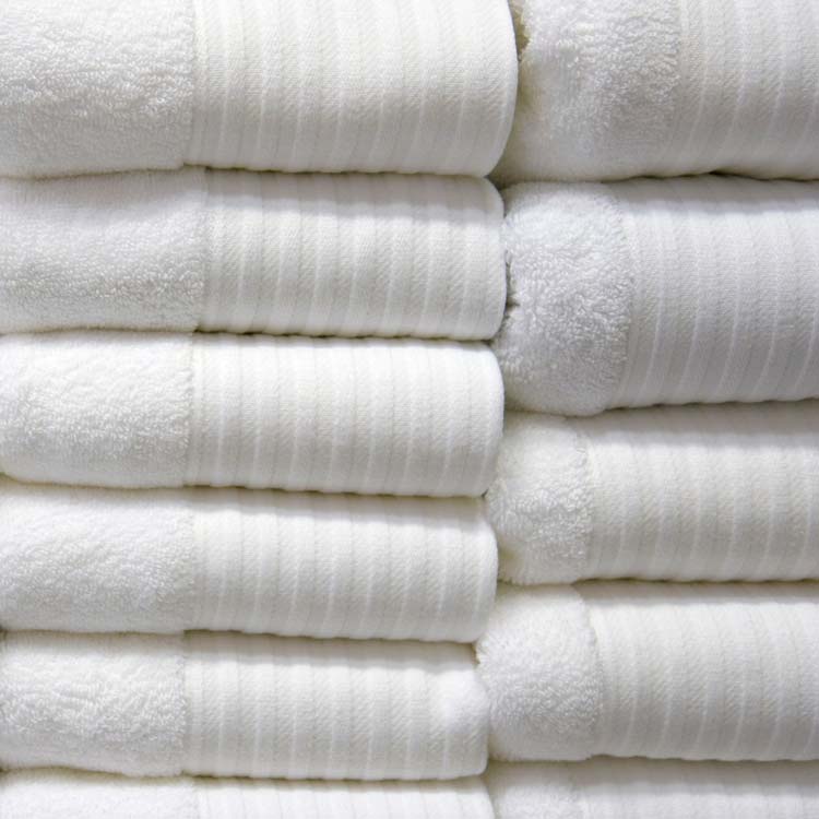 Calderon Textiles Data Backup Case Study | Echopath